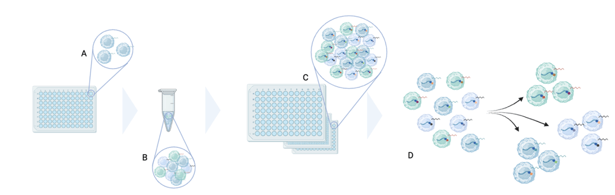 Breaking the Single Cell Bottleneck with ScalePlex